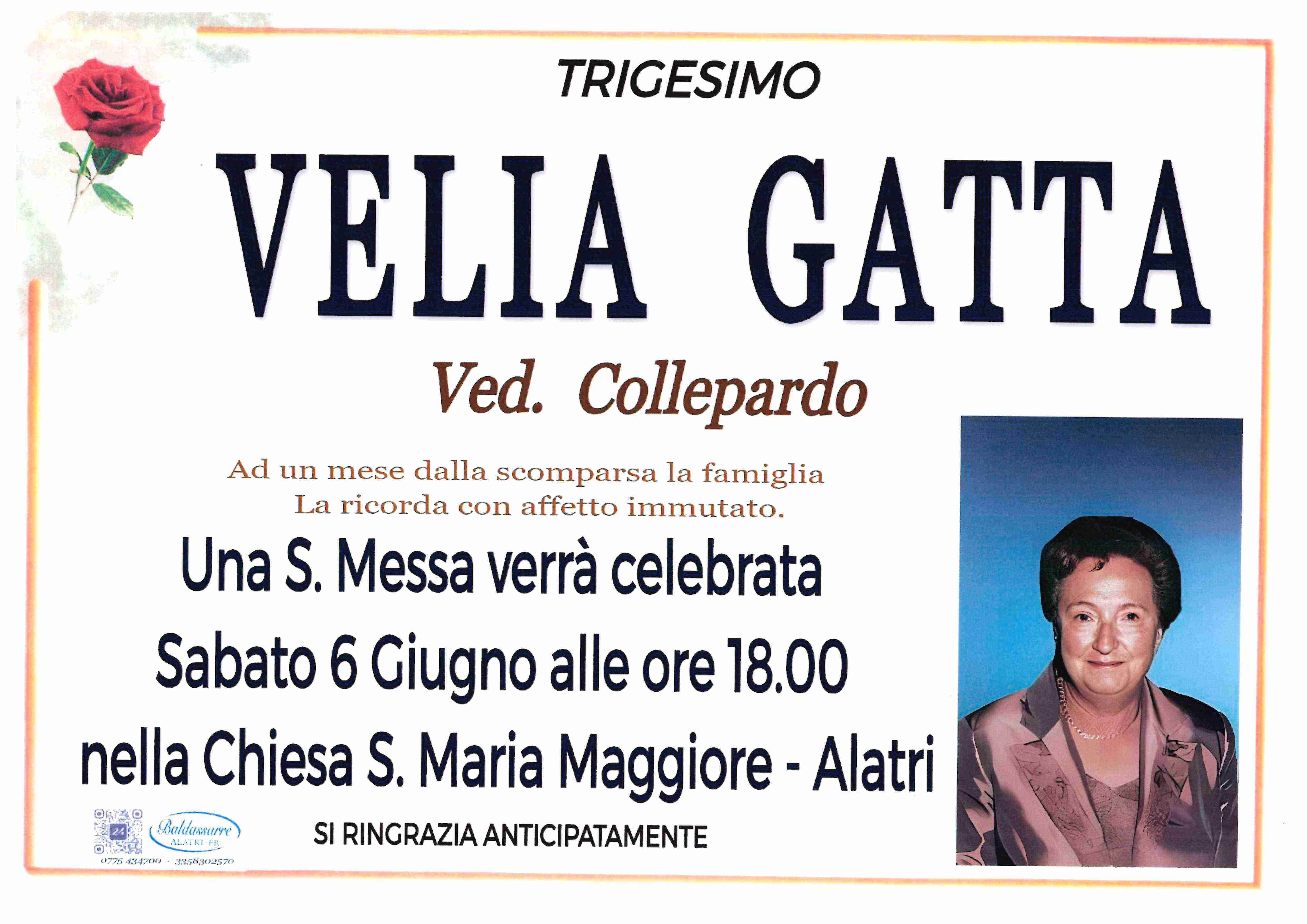Funerali e annunci funebri a | Velia Gatta - Funer24
